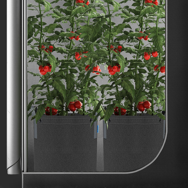 AC Infinity Heavy Duty Fabric Pots 3 gallon - 5 pack – Astral Grow