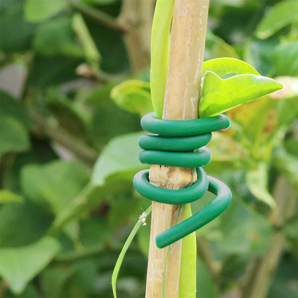 Soft Flexible Garden Wire - 16' – Astral Grow